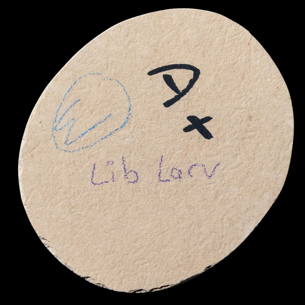 Odonata Larva indet - fossils worldwide