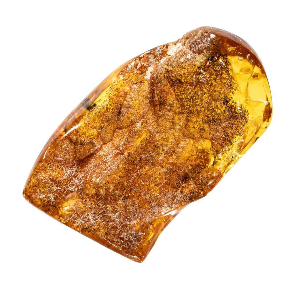 Baltischer Bernstein (Succinit) - fossils worldwide