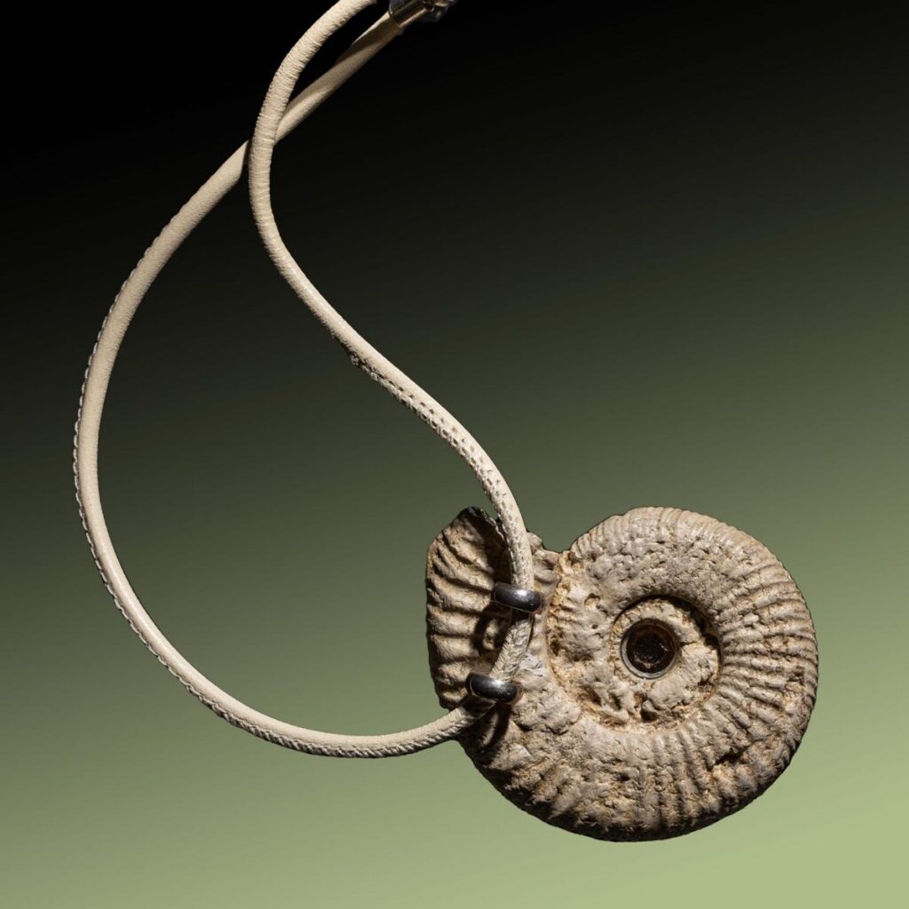 Fossilove - edelsteingeschmückter Ammonit mit Lederband - fossils worldwide